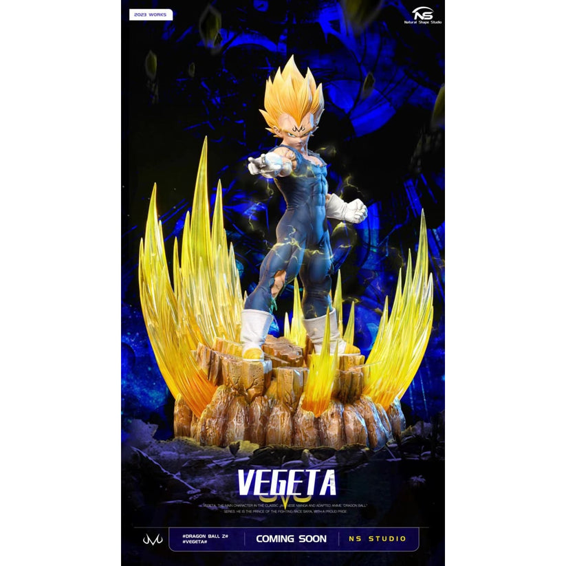 Natural Shape Studio - Majin Vegeta – Avolounge